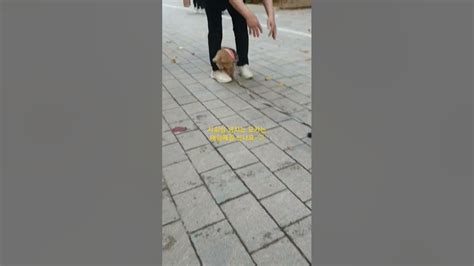 사회성 만렙은 타고 나는거 Youtube