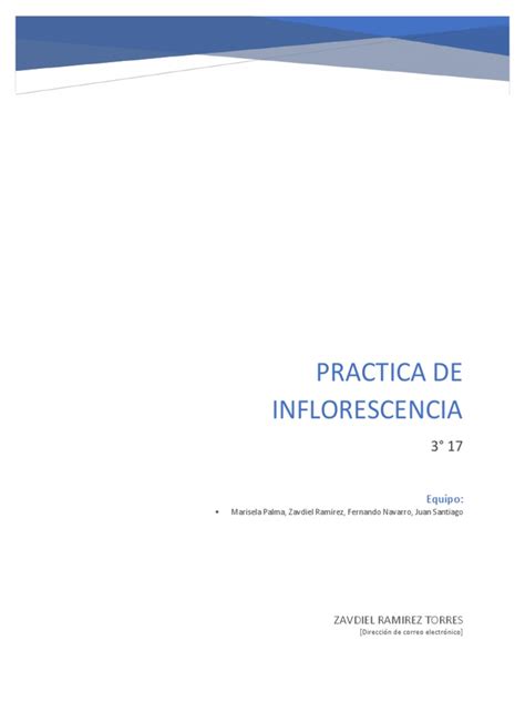 Inflorescencia Pdf