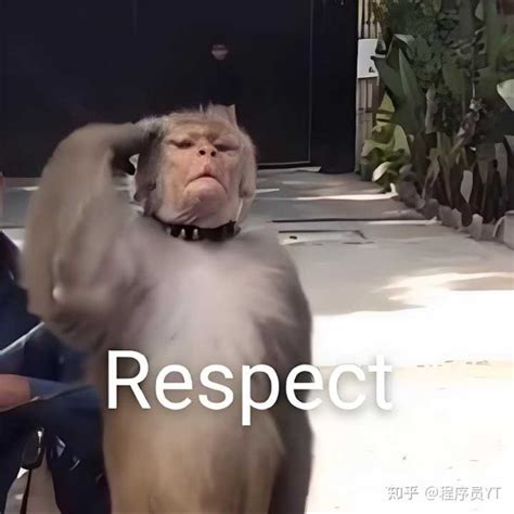 25岁，双非，自动化，啥也不懂，想振作起来自学一门技术，嵌入式还是java，各位大佬，好累啊 知乎