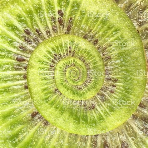 Kiwi Infinity Spiral Abstract Background Fibonacci