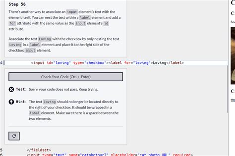 Learn HTML By Building A Cat Photo App Step 56 HTML CSS The