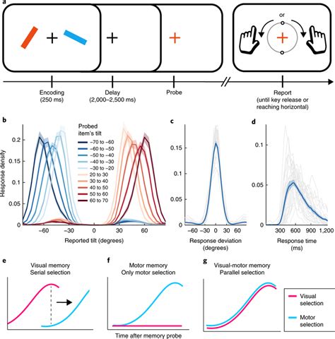 Task Performance And Hypothetical Scenarios A Participants Saw Two