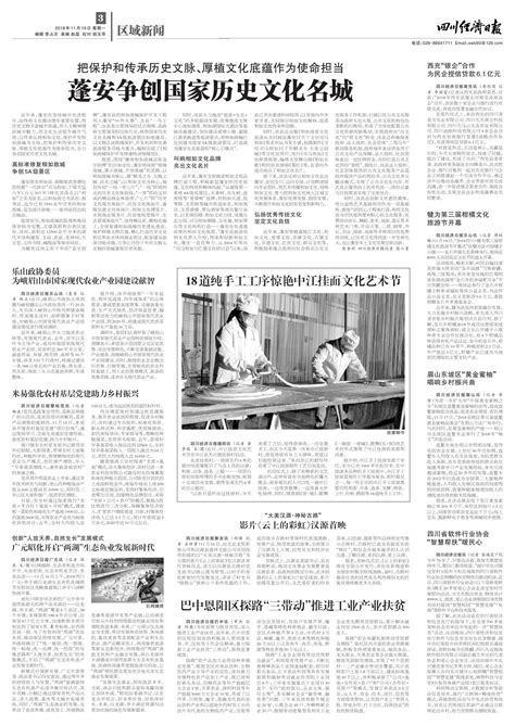 米易强化农村基层党建助力乡村振兴 四川经济日报
