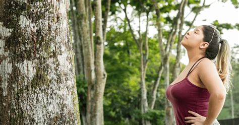 Nature S Air Purifiers 5 Trees With The Highest Oxygen Output