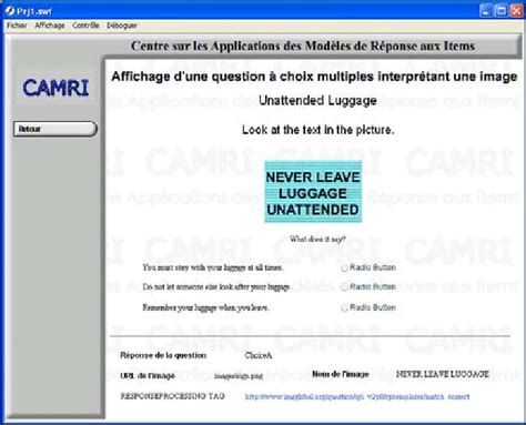 Ims Qti Item Displayed In The Flash Application 45 Download