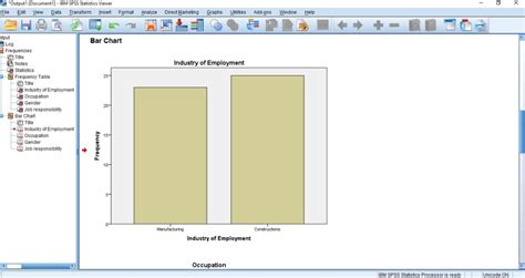 How To Interpret Spss Output For Descriptive Statistics OnlineSPSS Com