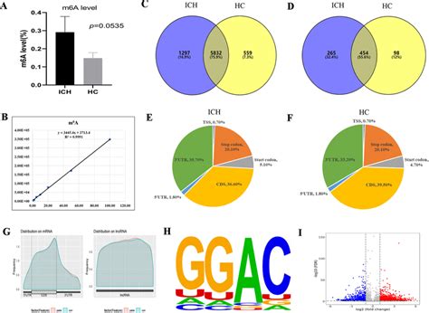 Profile Of M⁶a Modifications In Patients With Acute Ich And Hcs A