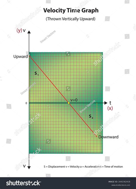 Velocity Time Graph Object Thrown Vertically Stock Vector Royalty Free 2042362418 Shutterstock