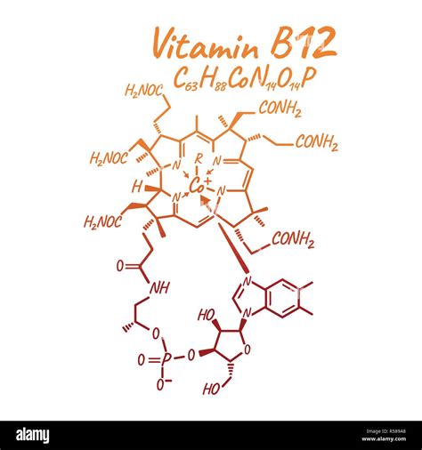 Vitamin B12 Structure