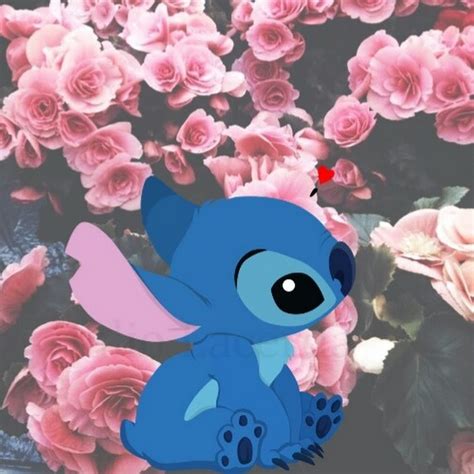 Natalie Molnar Youtube