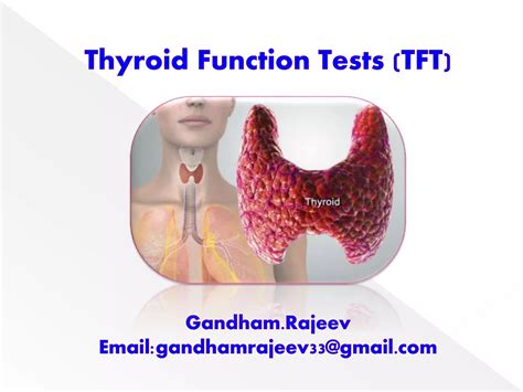 THYROID FUNCTION TESTS TFT PPTX