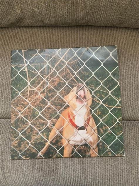 Can Anyone Give Me Any Info On This Album Discogs Doesnt Have Much To