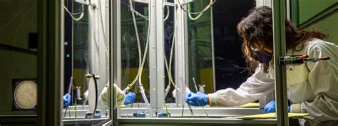 Microbes To Ecosystems Lawrence Berkeley National Laboratory