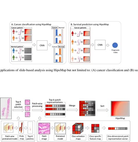 A Patch Wise And B Slide Based Histopathological Analyses Download Scientific Diagram