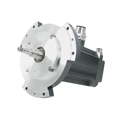 Explosion Proof Special Shaped Dc Servo Motor Wheatstone Custom Servo