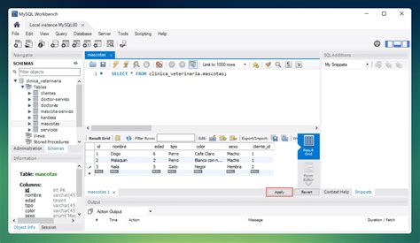 Insertar Registros En Mysql Norvic Software
