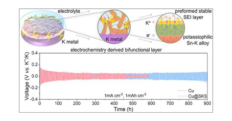 Bifunctional Alloy Solid Electrolyte Interphase Layer For Enhanced