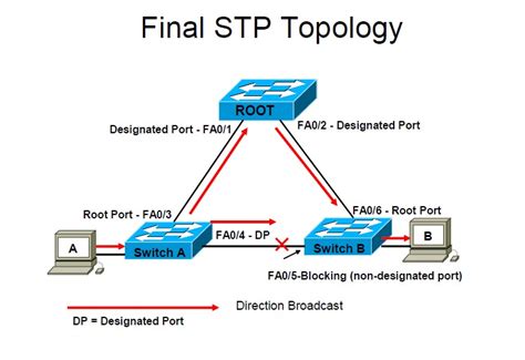 How Spanning Tree Protocol Works Easiest Guide Available The Dnetworks