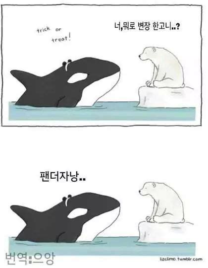 여자들이 좋아하는 만화라는데 인스티즈 Instiz 이슈 카테고리