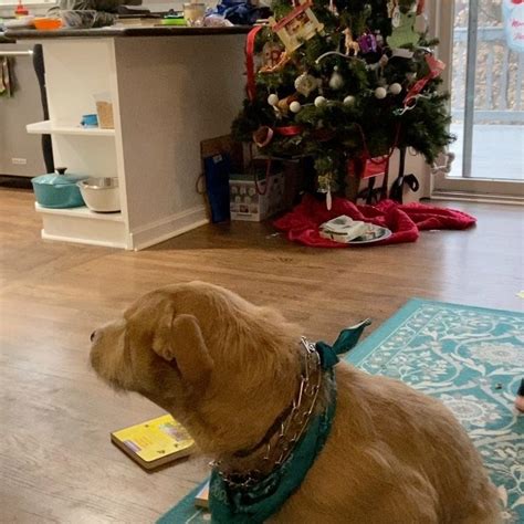 upstream coding home facebook