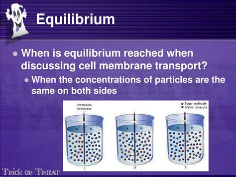 PPT Cell Membrane Transport PowerPoint Presentation Free Download ID