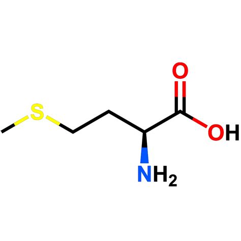 甲硫氨酸（methionine） 思斐迩3d科学模型素材库