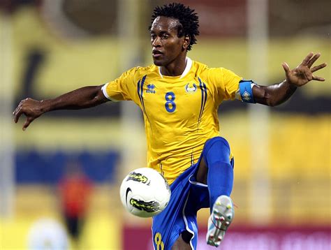 Zé Roberto Wikipedia