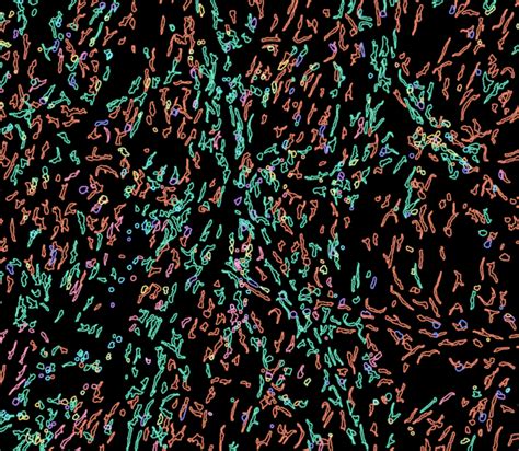 Spatial Omics Profiling And Microscopy Movahedi Lab