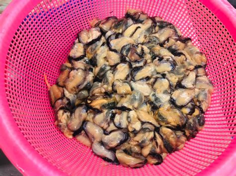 영양사도우미 단체급식메뉴 나가사끼짬뽕 백짬뽕 네이버 블로그