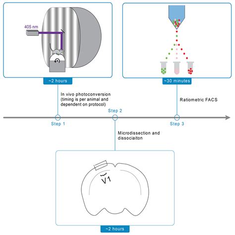 Cell Press STAR Protocols