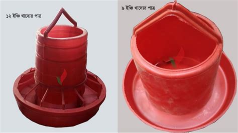 Chicken Feeder Poultry Chick Hen Food Pot মুরগির খাবার পাত্র Youtube