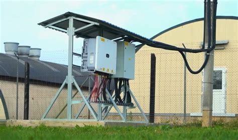 На Львівщині сонячна електростанція покриває до 30 потреб свиноферми Agroreview