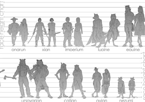 Dnd Race Height Chart At Robert Connors Blog