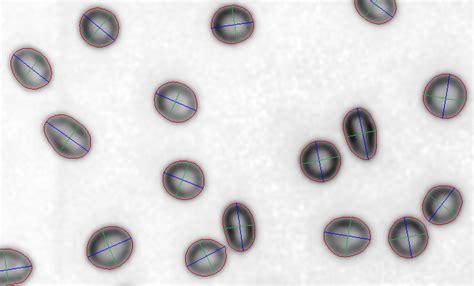 Example Of An Output Image Fragment Download Scientific Diagram