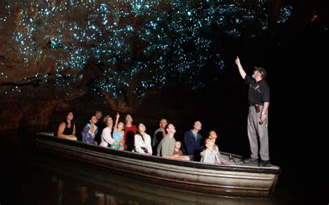 Waitomo Caves New Zealand Glowworms And Visitor Guide