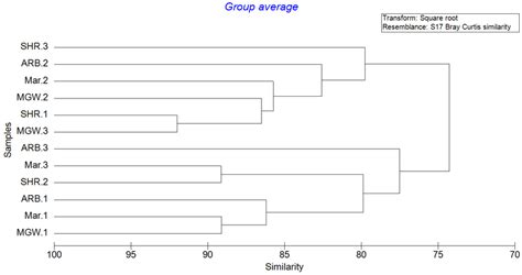 Bray Curtis Similarity Dendrogram Of The Stations Download Scientific Diagram