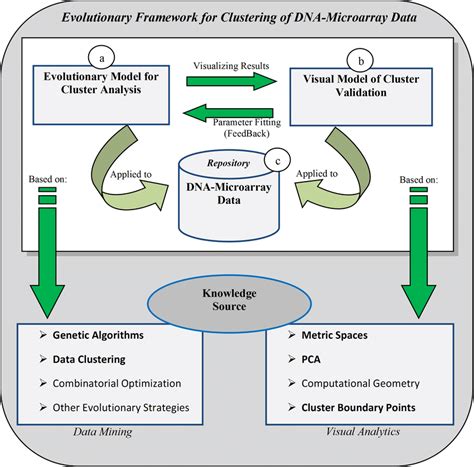 Evolutionary And Visual Framework For Cluster Analysis Of Dna Download Scientific Diagram