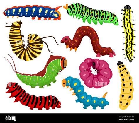 Cartoon Caterpillars Cute Summer Insects Spring Colorful Caterpillar