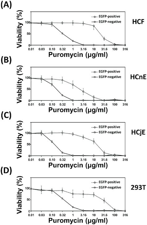 Tolerance To Puromycin Of The Sorted Egfp Expressing Cells All