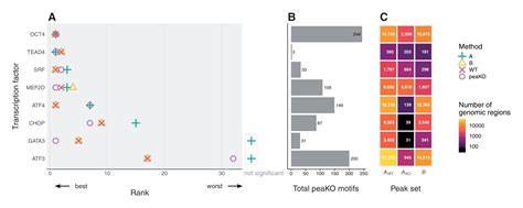 Peako Danielle Denisko