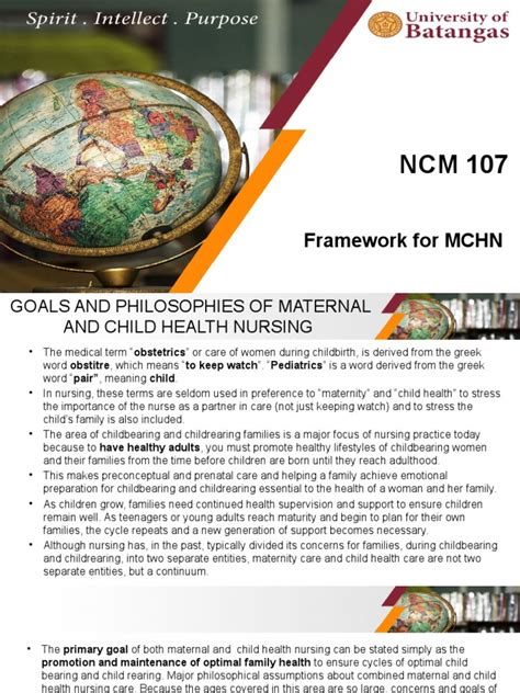 Framework For Mchn Pdf Sustainability Nursing