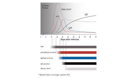 Clinical Testing Guidance For Hiv Hiv Nexus Cdc