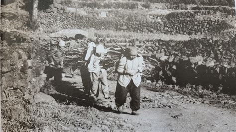 1950~60년대 혹한의 제주도 아침 깨우던 소리 “낭 삽써”