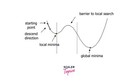 Types Of Local Search Algorithm Scaler Topics