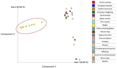 Principal Coordinates Analysis Showing Beta Diversity Based On The Download Scientific Diagram