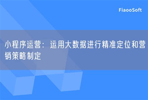 小程序运营：运用大数据进行精准定位和营销策略制定 飞傲软件
