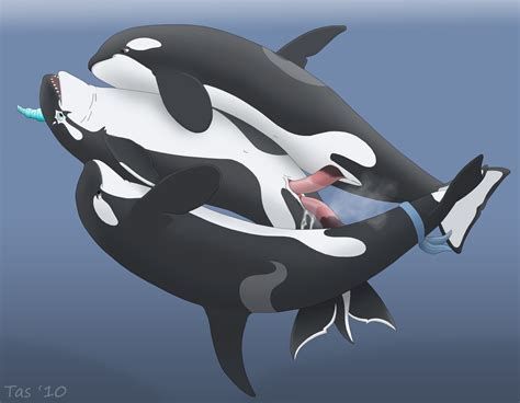 Rule 34 2010 Anal Anal Sex Anthro Anus Cetacean Countershading Cum