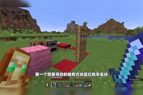 我的世界：用mc最稀有的方块搭建房屋，萌新表示从没见过！