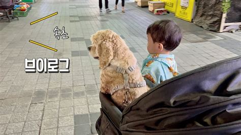 아기와 강아지🌪️속초여행🌪️ Youtube