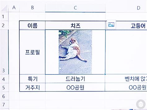 엑셀 이미지 셀에 배치하기 그림 정렬 및 크기 조정 꿀팁 네이버 블로그